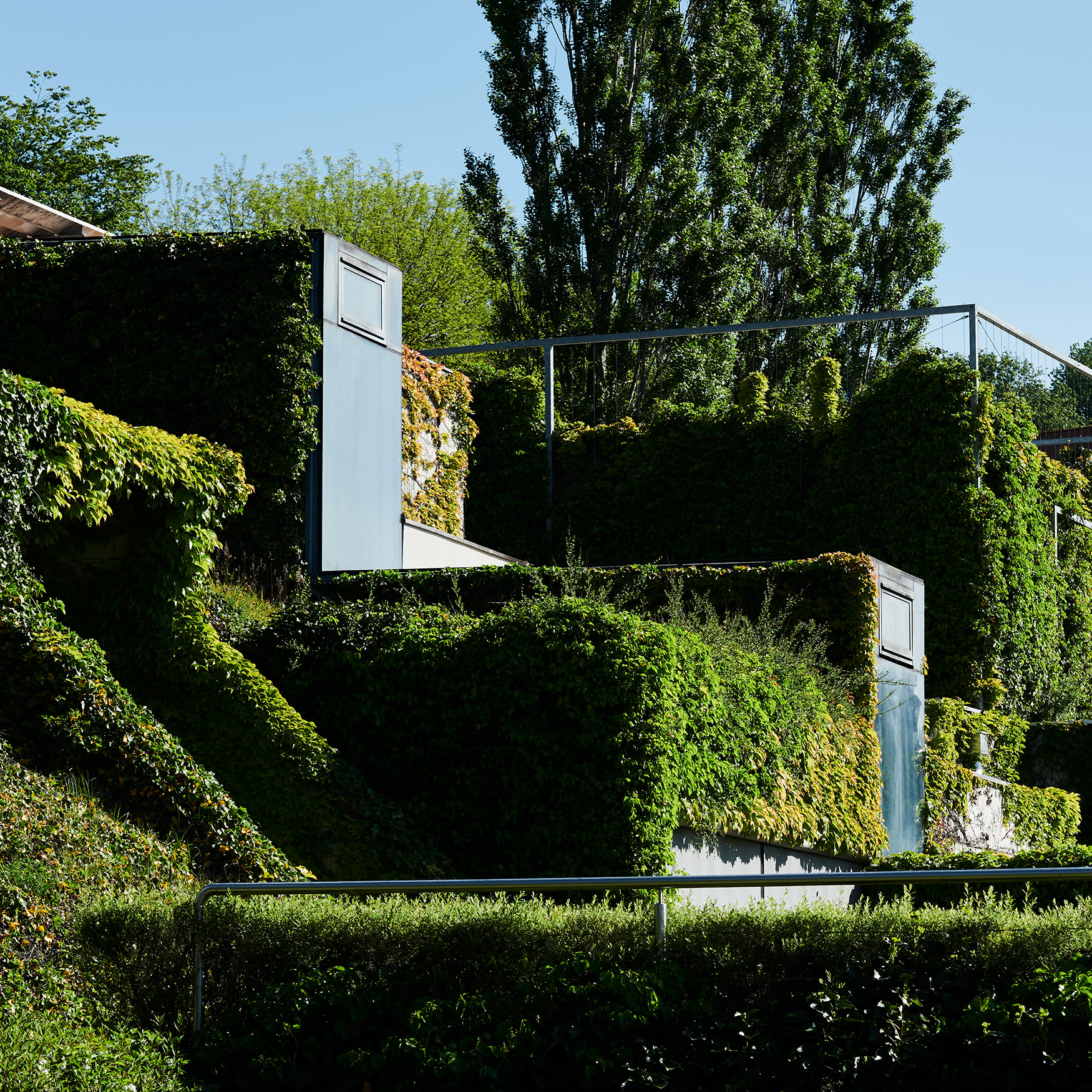 Der Hanglage folgend | Weingut Neumeister